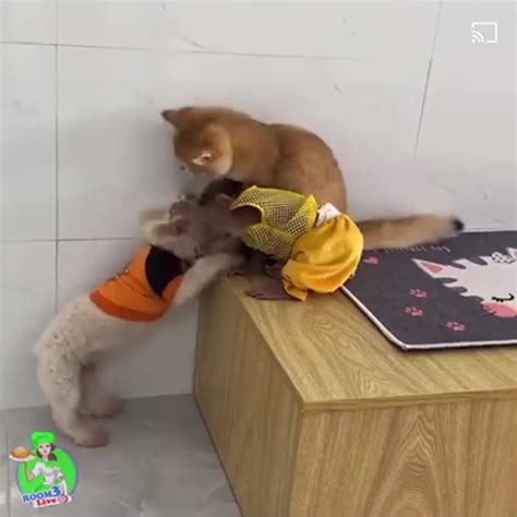 Video Mohamed Riyaz Posted On Linkedin