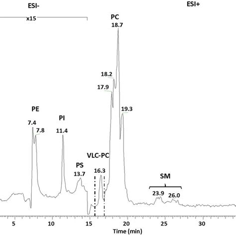 Structure Of Conventional Phospholipids And Plasmalogens Conventional Download Scientific
