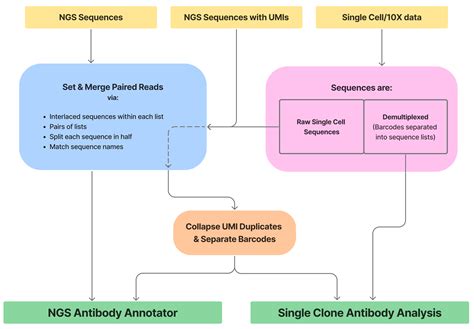Workflows For Ngs Antibody Analysis Geneious Biologics Support