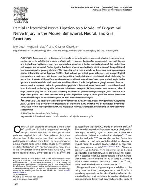 Pdf Partial Infraorbital Nerve Ligation As A Model Of Trigeminal