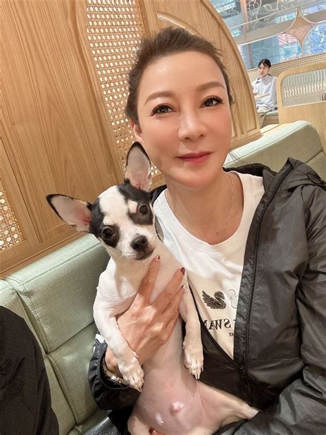 楊繡惠深夜曬「超音波照」！網刷一片祝賀：爸爸是白雲？ 娛樂星聞