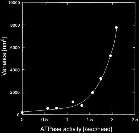 Power Intensity Of The Transversal Fluctuations Of An Actin Filament Download Scientific