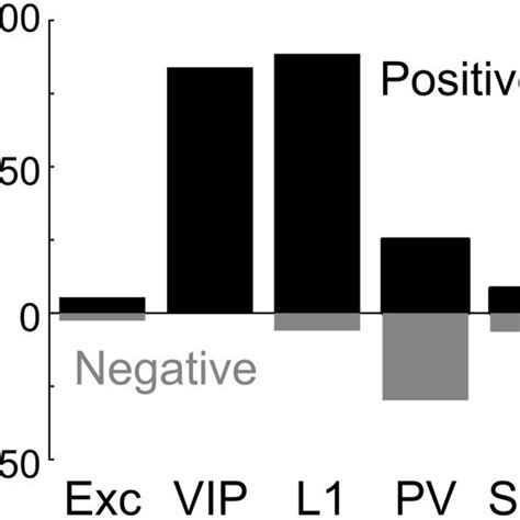 Basal Forebrain Modulation Of Excitatory And Inhibitory Cortical Download Scientific Diagram