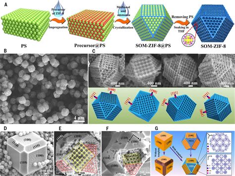 Ordered Macro Microporous Metal Organic Framework Single Crystals Science