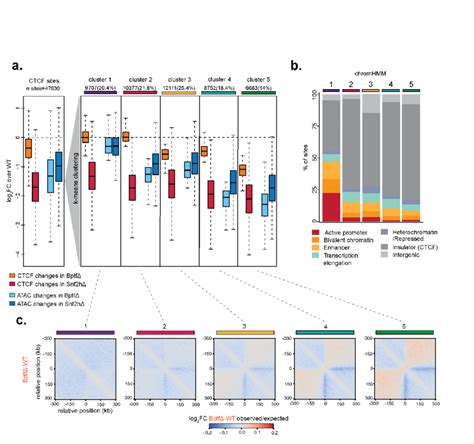 unsupervised clustering highlights differential responses to absence of