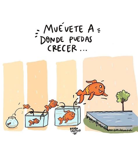 Andres Felipe Sanchez Castro On Linkedin 2025 D