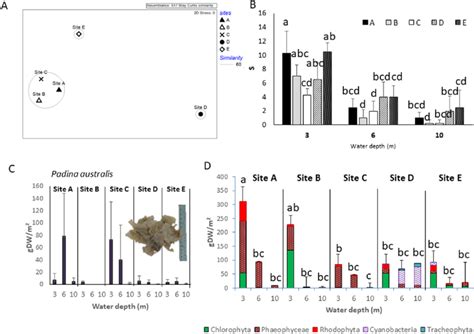 Macrophyte Composition And Diversity A Non Metric Multidimensional Download Scientific