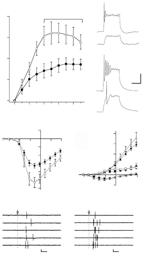 Visually Driven Regulation Of Intrinsic Neuronal Excitability In Download Scientific Diagram