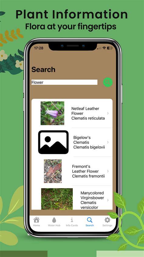 Botany Csce 490492 Capstone Computing Project Class