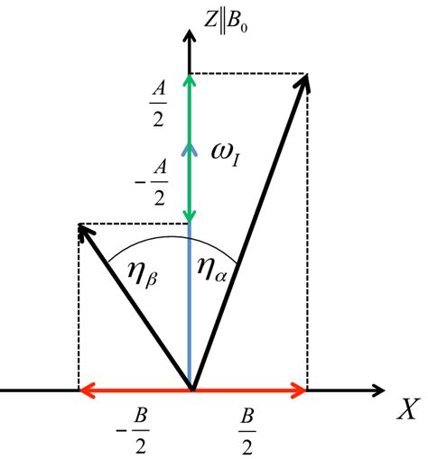 2 Representation Of The Quantization Axis Orientation Of The Nuclear Download Scientific 2 Representation Of The Quantization Axis Orientation Of The Nuclear Download Scientific