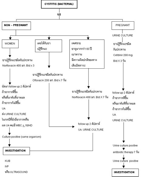 แนวทางการรักษา Urinary Tract Infection