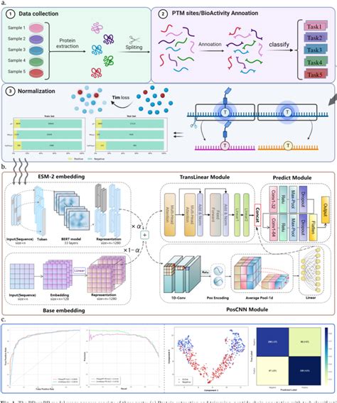 [论文审查] pdeeppp a deep learning framework with pretrained protein