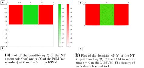 initial conditions respectively for the esvm and the vm panel a and