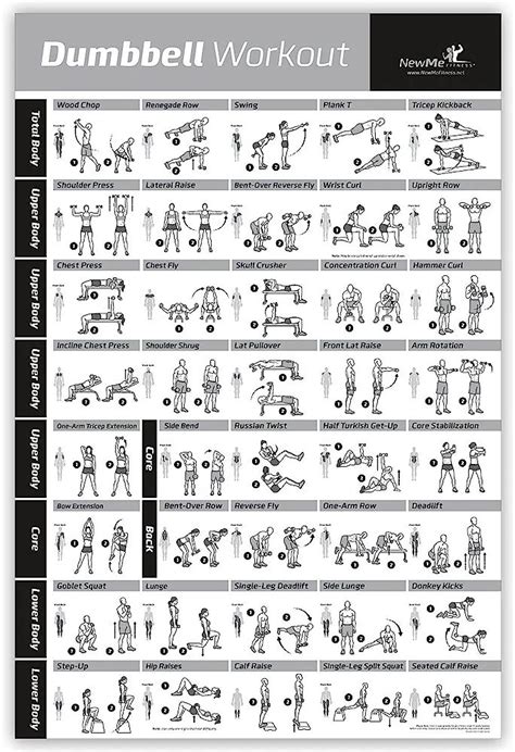 Newme Fitness Dumbbell 18x27 Workout Exercise Poster Strength Training Chart Home Gym Weigh