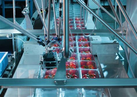 robot to package food and salad meals partner with us