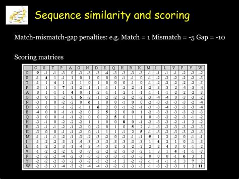 Ppt Sequence Alignment Powerpoint Presentation Free Download Id