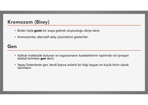 Genetic Algorithm Examples And Presentation In Turkish Pdf