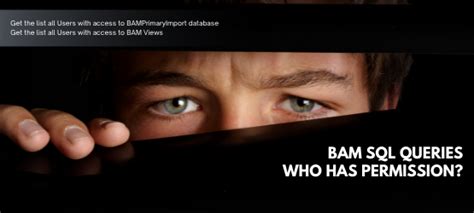 Biztalk Server Bam Sql Queries Checking Who Has Permission Sandro Pereira Biztalk Blog