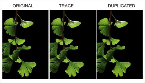 How Do I Coreldraw X6 Coreldraw Graphics Suite X6 Coreldraw Community