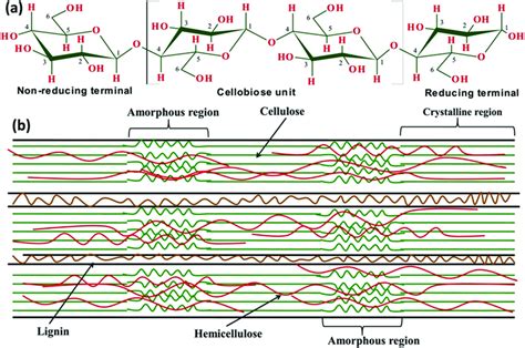 A Linear Structure Of Cellulose Showing Three Hydroxyl Oh Groups Download Scientific