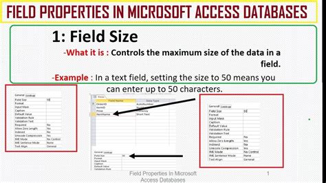Field Properties In Microsoft Access Databases Simple Explanations