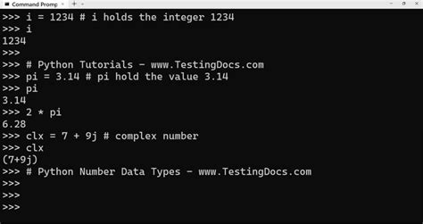 Python Number Data Types Testingdocs
