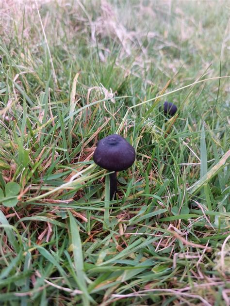 Some Other Interesting Dudes Here Not Libs Rbeacain