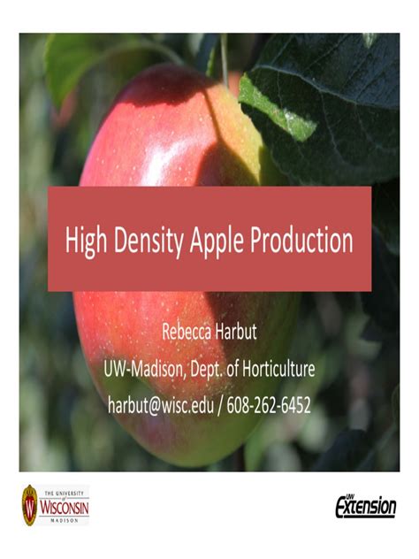 High Density Apple Production Pdf Pruning Auxin