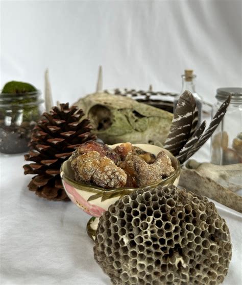 Wasp Nest Wasp Nest Art Wasp Nest Decor Paper Wasp Nest Real Wasp Nest Witchcraft Etsy