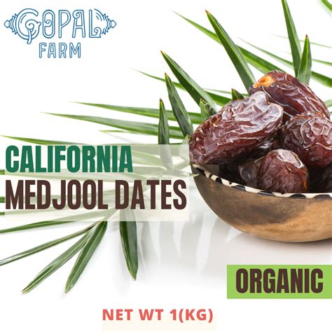 Organic Medjool Date Syrup Original Joolies Organic 53 Off