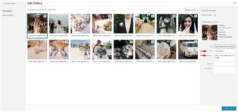How To Show The Gallery Image Title And Caption On Hover In Divi