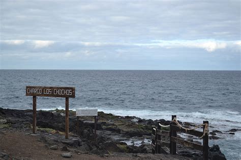 Charco Los Chochos En Los Silos Patea Tenerife