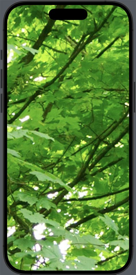 Ios Swift 위젯 Ios 17 Saturation 버그 Dimmed효과 딤드효과 채도 Saturation