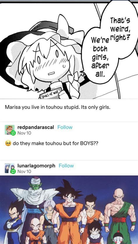 Touhou Is Just Dragon Ball But With Anime Girls Instead Of Anime Dudes R 2hujerk