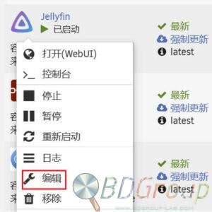 在Unraid 的Jellyfin上启用N卡硬件转码功能 编动小组