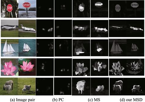 Some Examples Of Co Saliency Detection On Co Saliency Paris Dataset Download Scientific Diagram