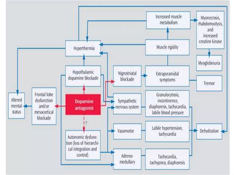 Neuroleptic Malignant Syndrome Aug 2019 Pptx