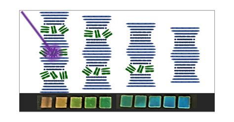 direct digital photonic patterning of hydrogen bonded cholesteric