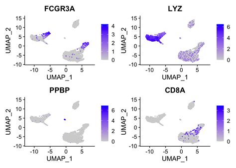 Chapter 9 Cluster Markers Scrnaseq Analysis In R With Seurat