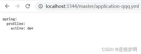 【springcloud开发教程】spring cloud config——分布式配置 springcloud config 查看配置 csdn博客