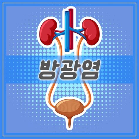 방광염 피 소변 혈뇨 간질성 과민성 방광염 증상 및 치료 항생제 약 네이버 블로그