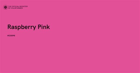 Raspberry Pink Color E25098 The Official Register Of Color Names Raspberry Pink Color E25098 The Official Register Of Color Names