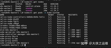 K8s集群部署 手把手教你部署集群 最新版本1 24 3 知乎