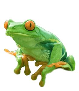 American Green Color Hex Code Is 4AA844