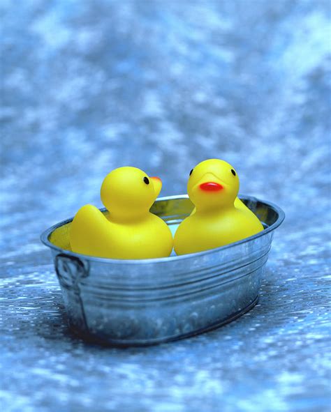 Bath Time For Rubber Duckies Photograph By Craig Brewer Fine Art America