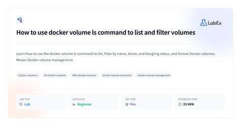 How To Use Docker Volume Ls Command To List And Filter Volumes Labex
