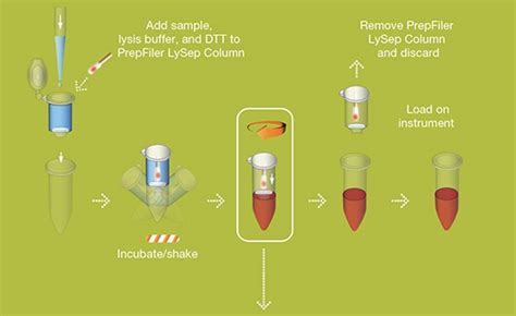 Automate Express Forensic Dna Extraction System And Prepfiler Dna