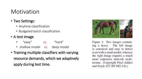 Multi Scale Dense Networks Ppt