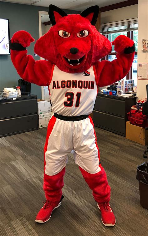 Amazing Mascots Custom Mascot Costumes