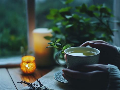 12 Reasons You Need To Start Growing Lemon Balm Right Now Complete